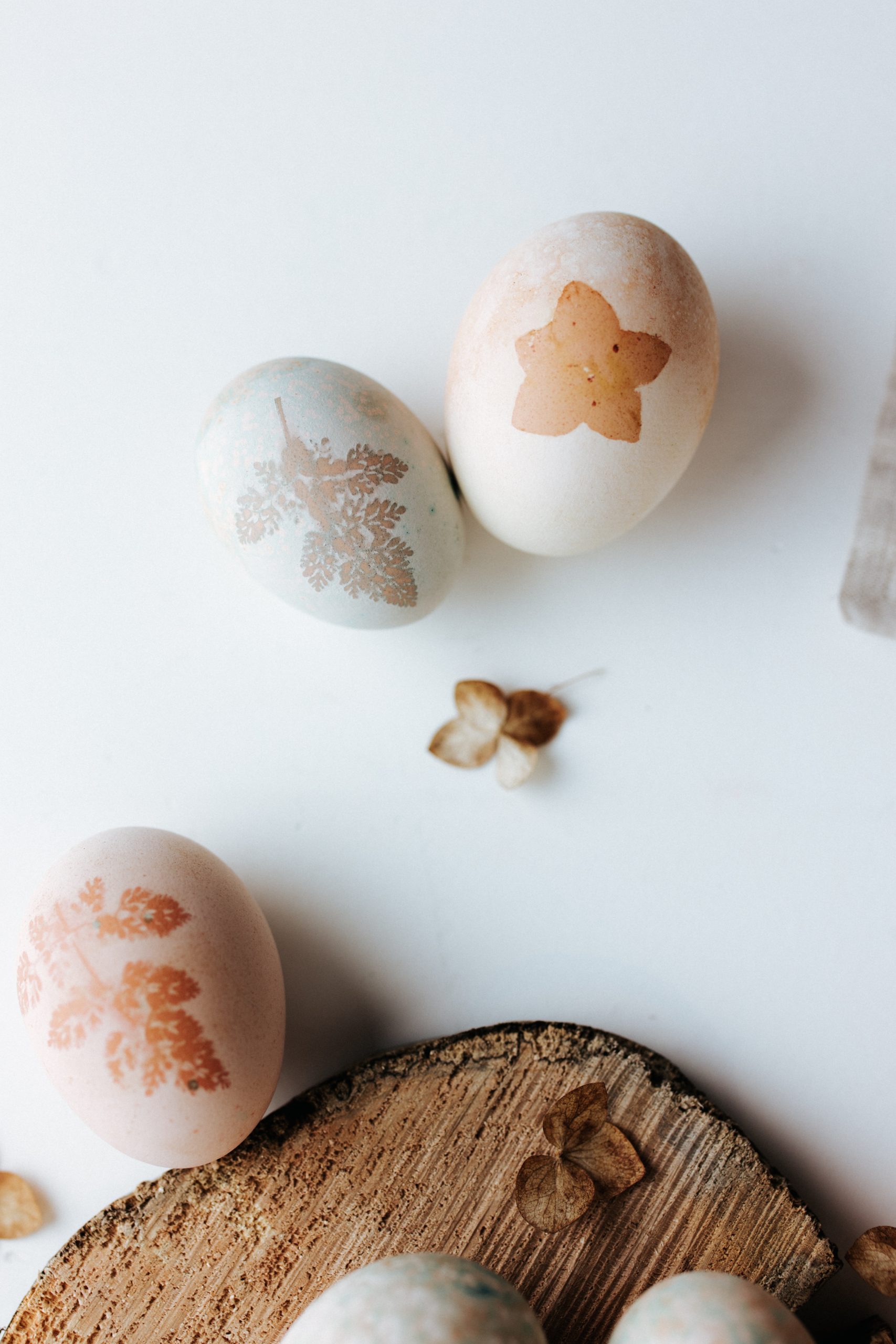 Teinture naturelle pour Oeufs de pâques / Naturally dyed Easter Eggs ...